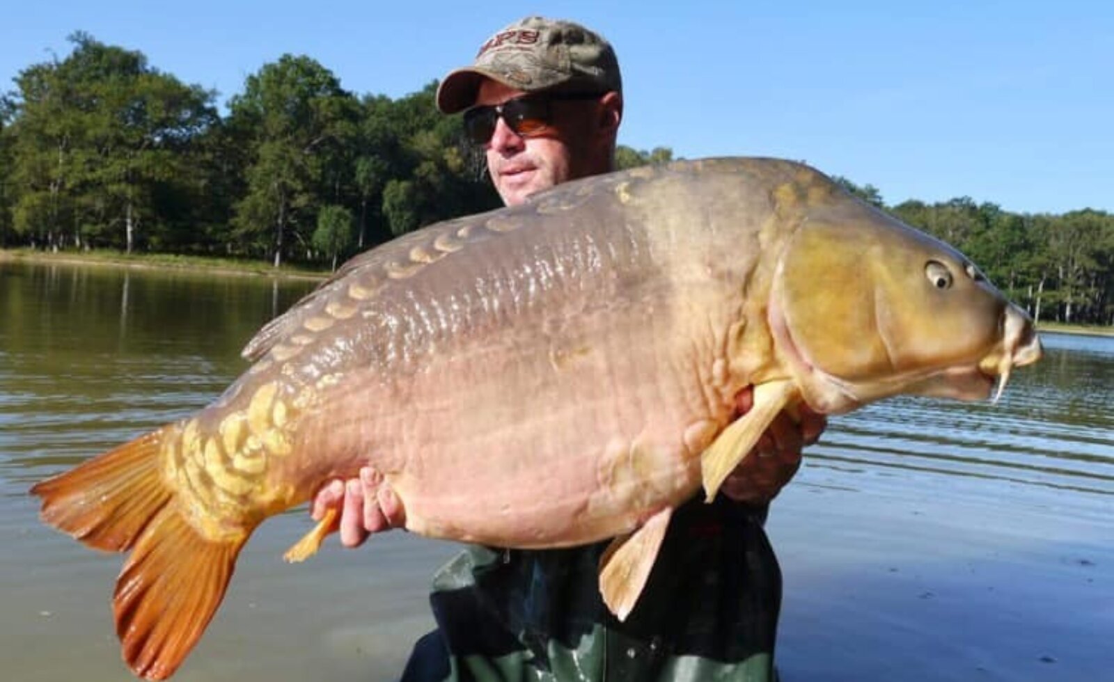 Camalo - Karpervissen in Frankrijk - 5,5 hectare TOP betaalwater