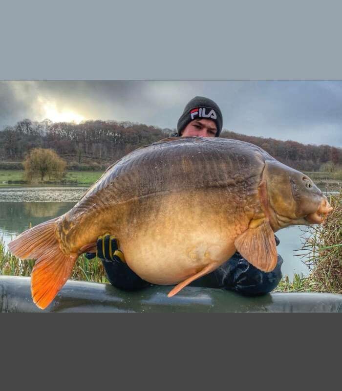 The Biggest Carp Ever Caught in the World